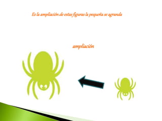Reducción y ampliación de figuras | PPTX
