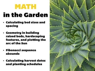 STEM-H in the Garden: 30 (or So) Garden Activities in 60 Minutes (or ...