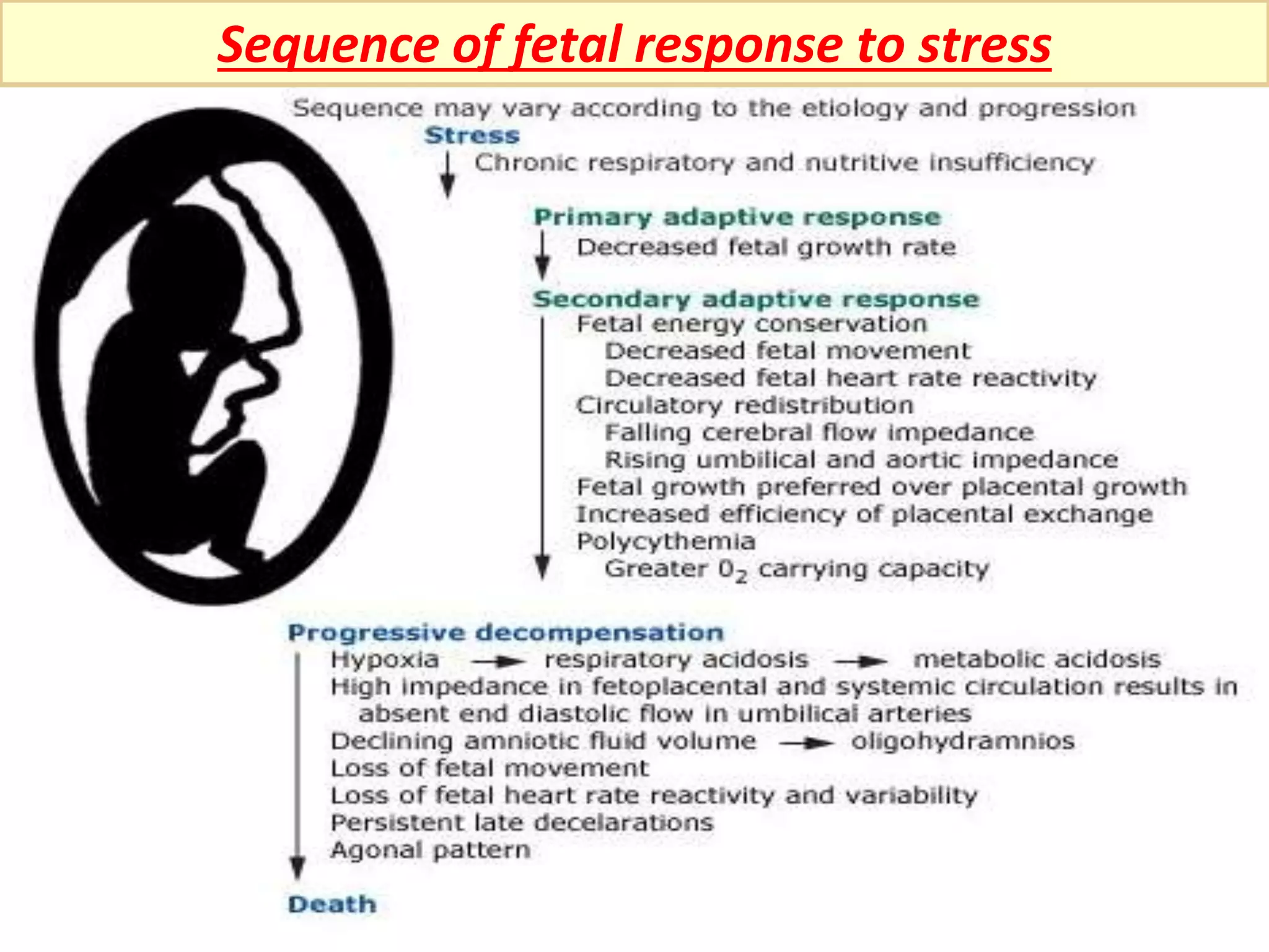 REDUCED FETAL MOVEMENTS - HOW TO PROCEED BY DR SHASHWAT JANI | PPTX