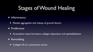 Treatment Options to Reduce Scarring in Wound Healing | PPT