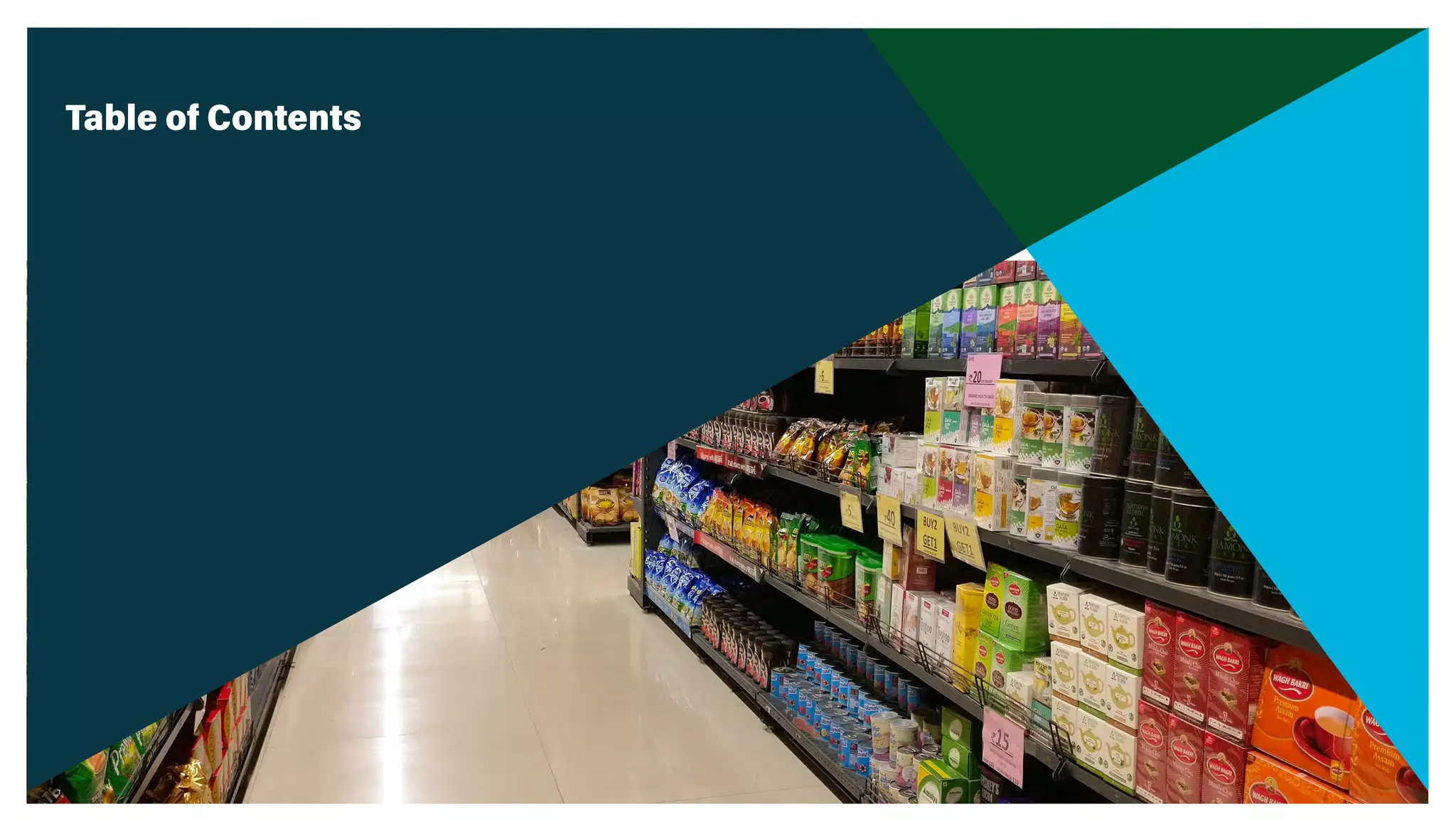 REDUCING TRANSPORTATION COSTS IN CPG THROUGH INTELLIGENT FREIGHT AUDIT ...