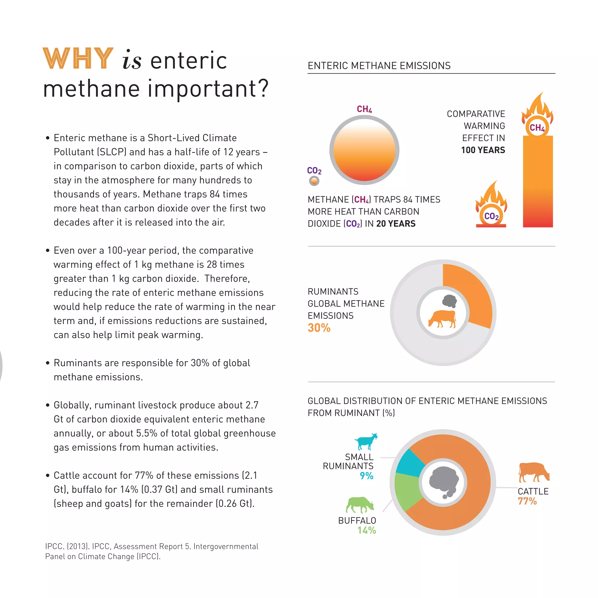 Reducing enteric methane for improving food security and livelihoods | PDF
