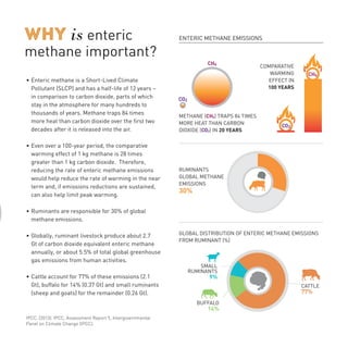 Reducing enteric methane for improving food security and livelihoods | PDF