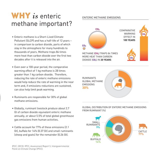 Reducing enteric methane for improving food security and livelihoods | PDF