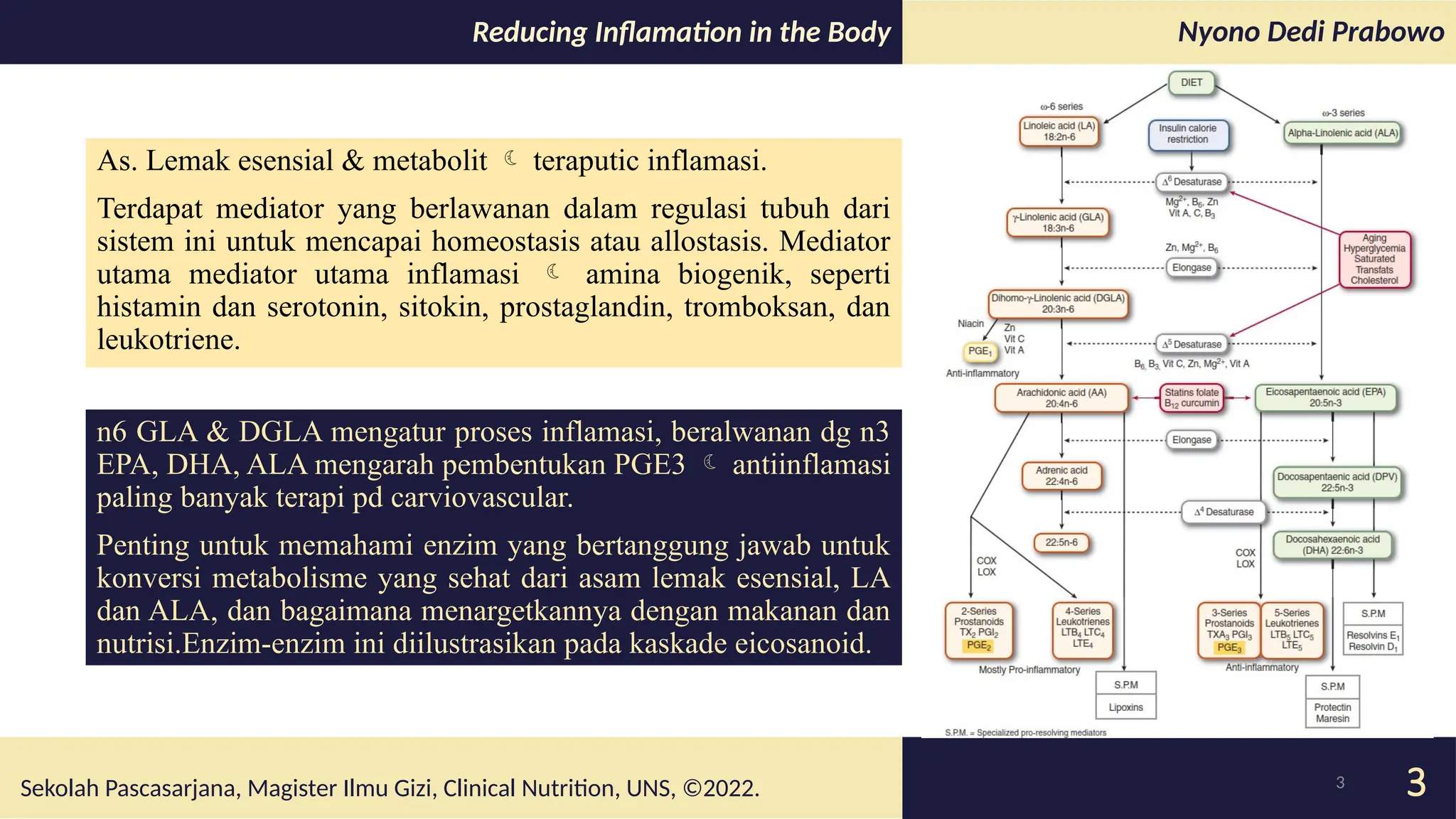 REDUCING INFLAMATION IN THE BODY 1234567 | PPTX