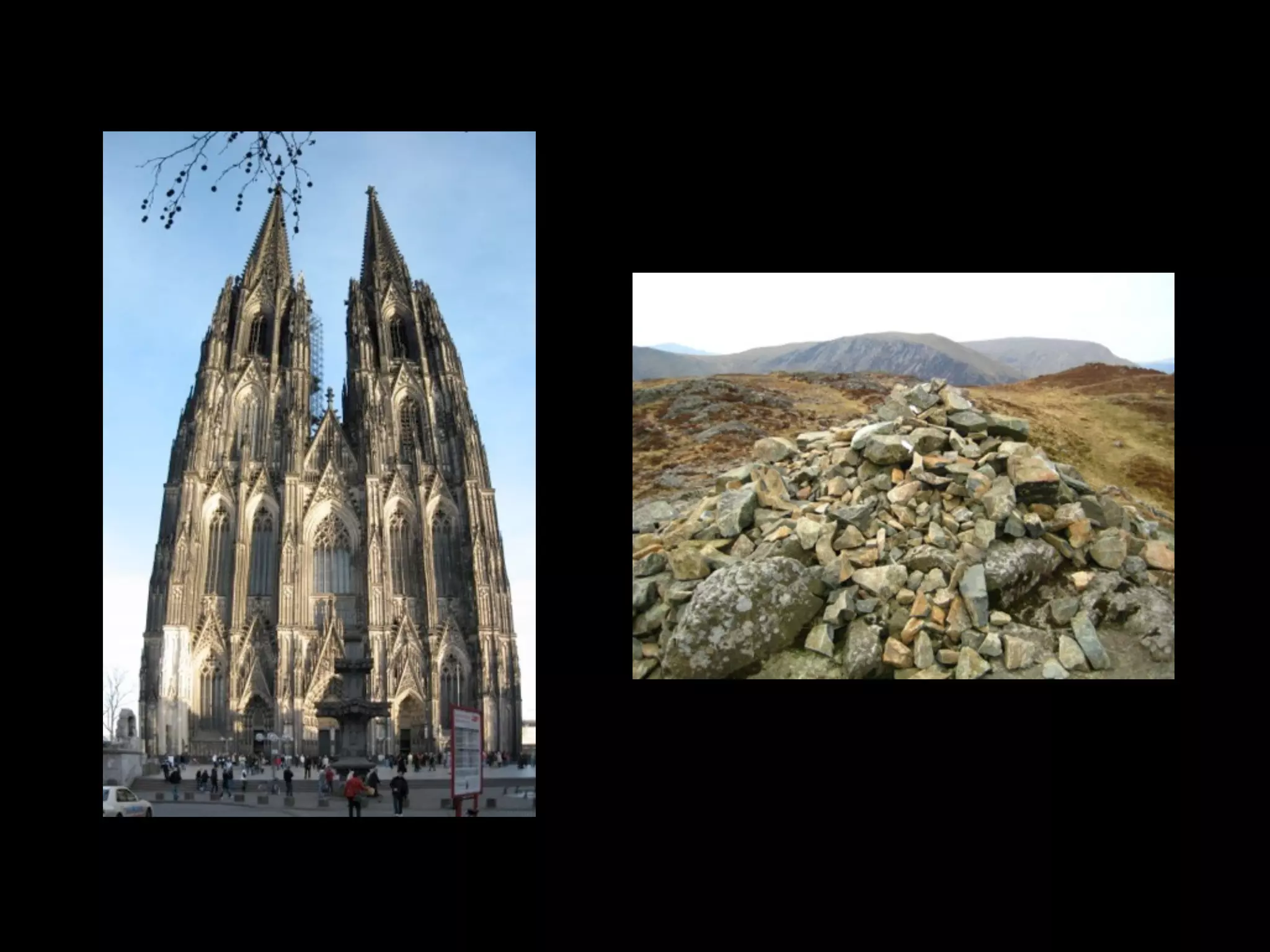 Reductionism vs holism | KEY