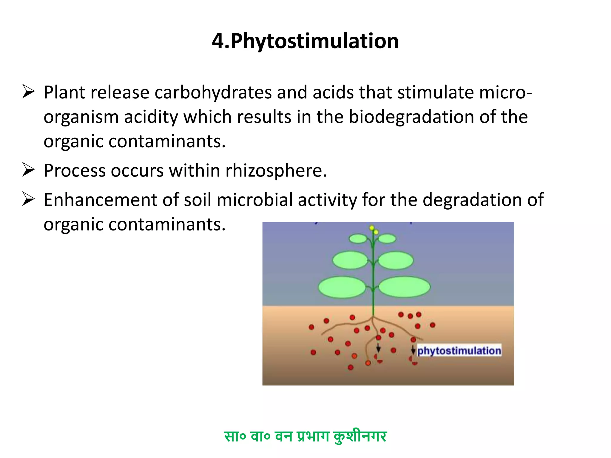Reduction of Pollution by Plantation.pptx