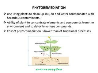 Reduction of Pollution by Plantation.pptx
