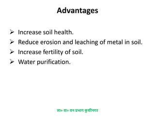Reduction of Pollution by Plantation.pptx