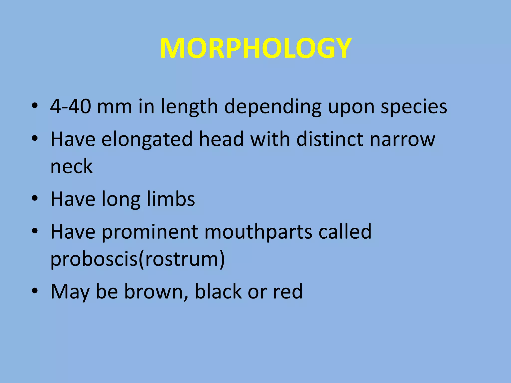 Reduviid bug And Chagas Disease | PPTX