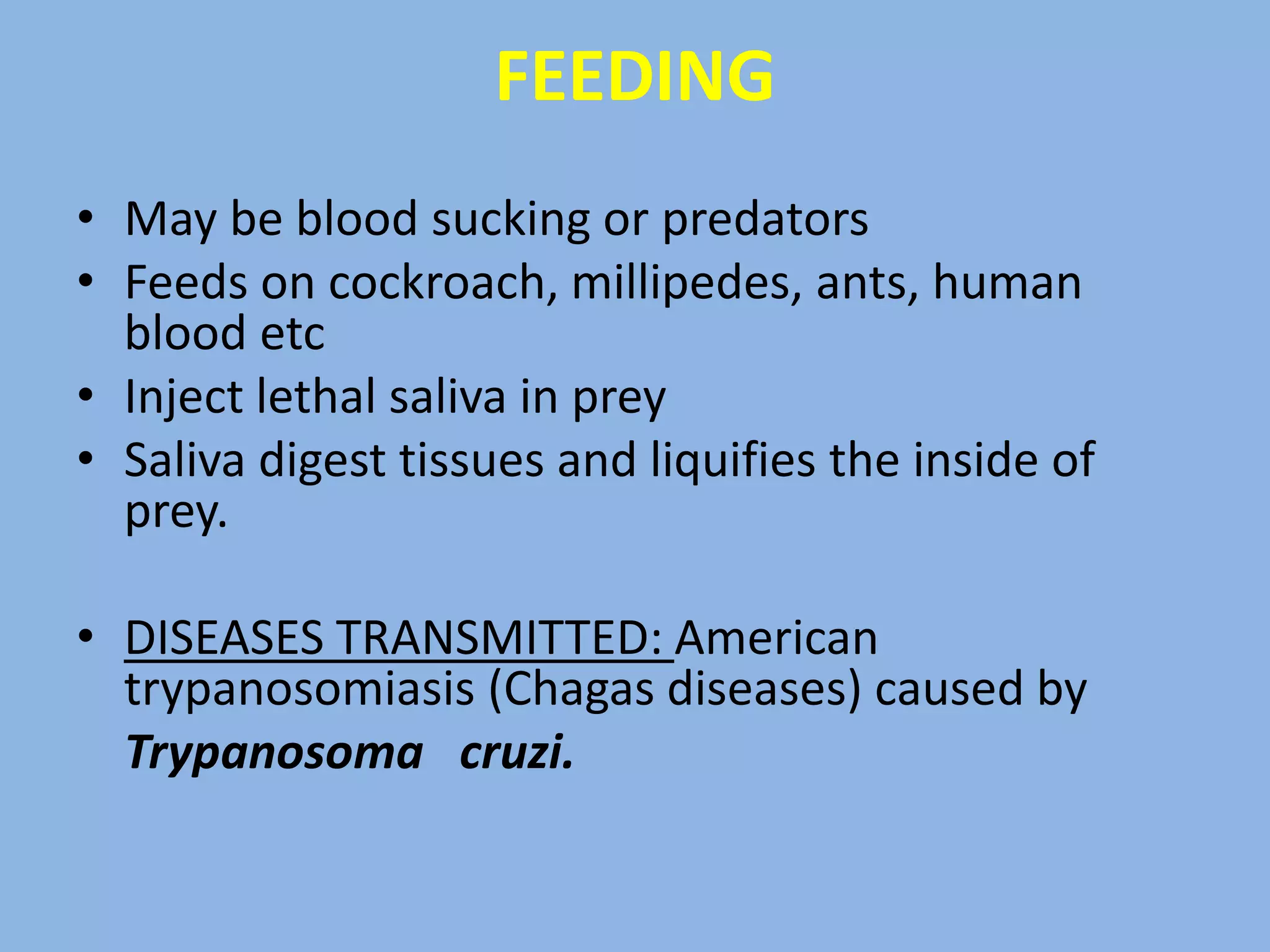 Reduviid bug And Chagas Disease | PPTX