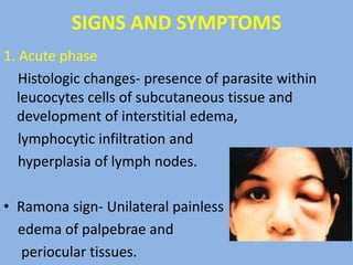 Reduviid bug And Chagas Disease | PPTX