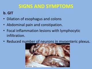 Reduviid bug And Chagas Disease | PPTX