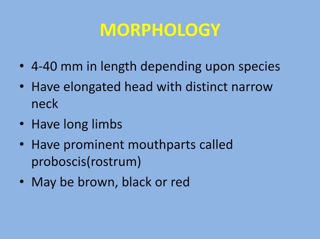 Reduviid bug And Chagas Disease | PPTX