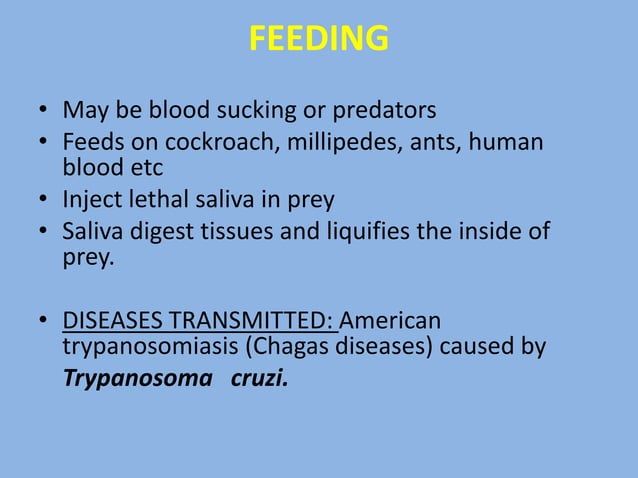 Reduviid bug And Chagas Disease | PPTX
