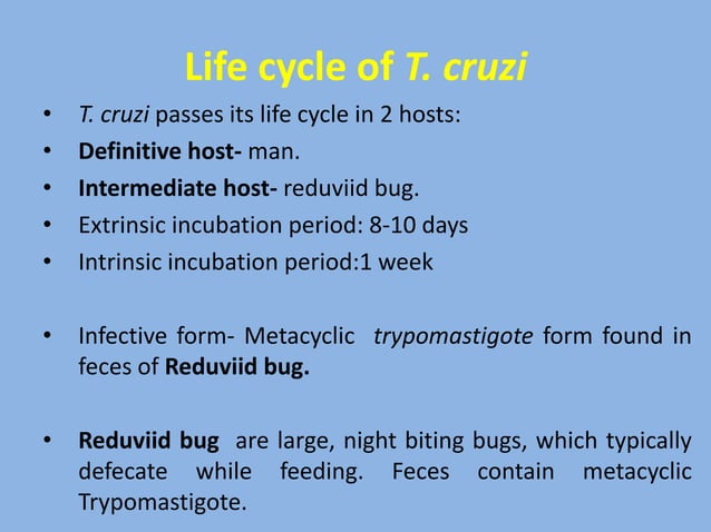 Reduviid bug And Chagas Disease | PPTX