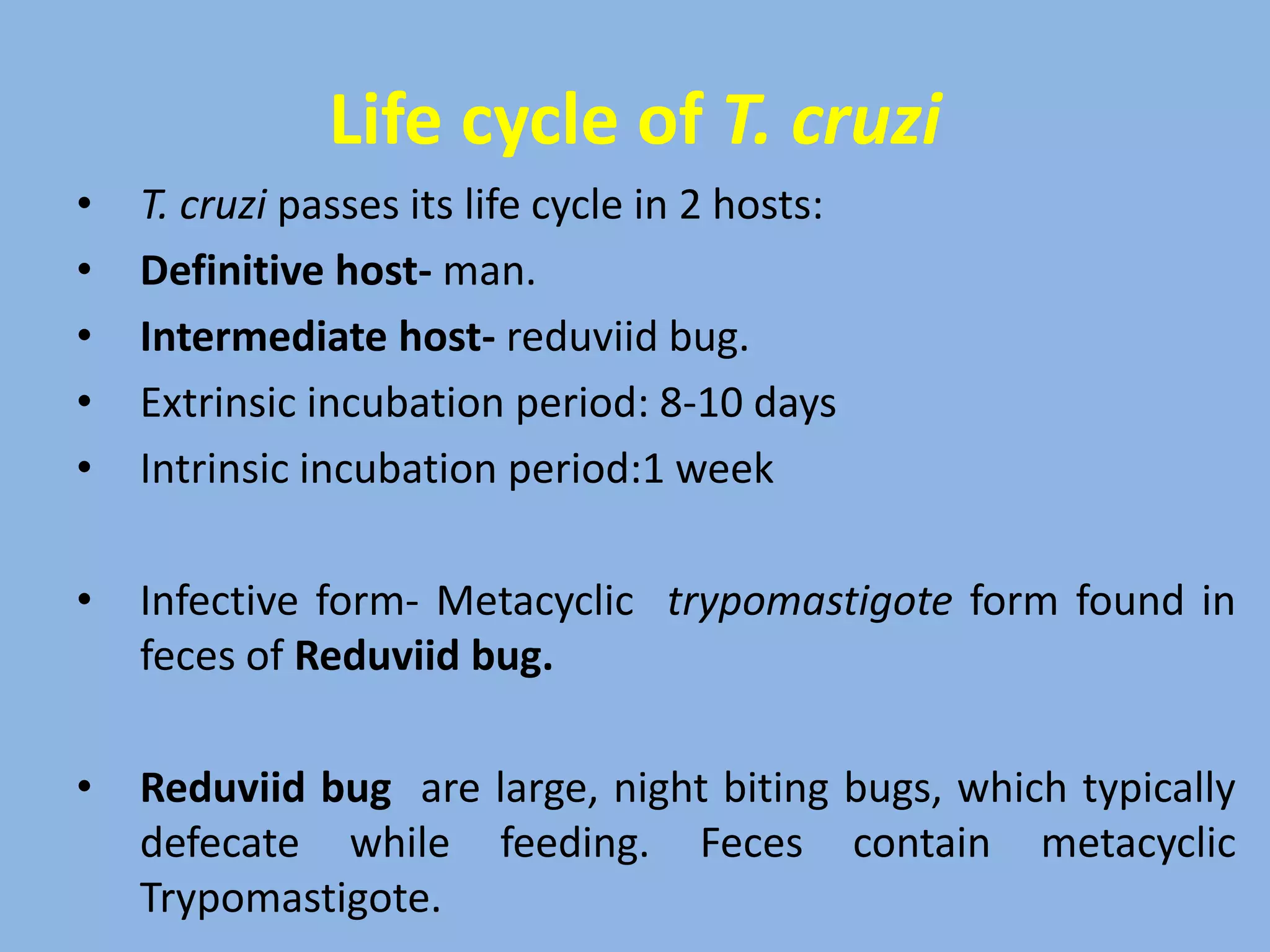 Reduviid bug,T. cruzi & Chagas disease | PPTX