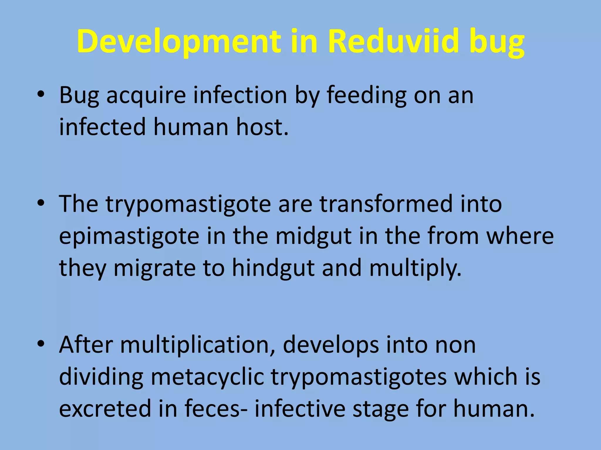 Reduviid bug,T. cruzi & Chagas disease | PPTX
