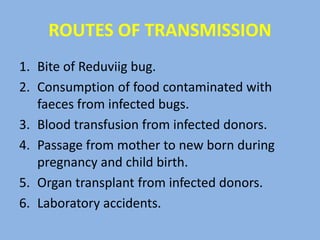 Reduviid bug,T. cruzi & Chagas disease | PPTX