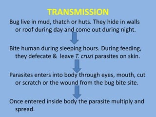 Reduviid bug,T. cruzi & Chagas disease | PPTX