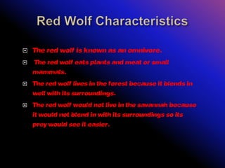 Red wolf | PPTX