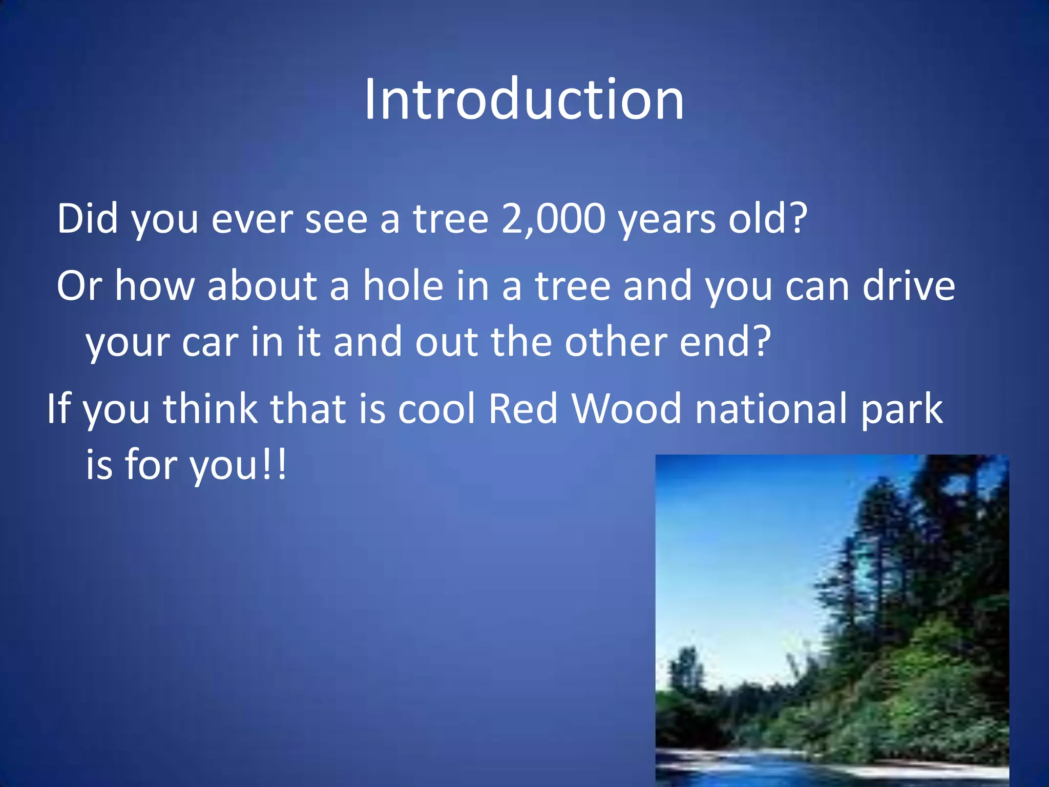 National Park Research | PPTX
