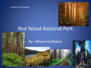 National Park Research | PPTX