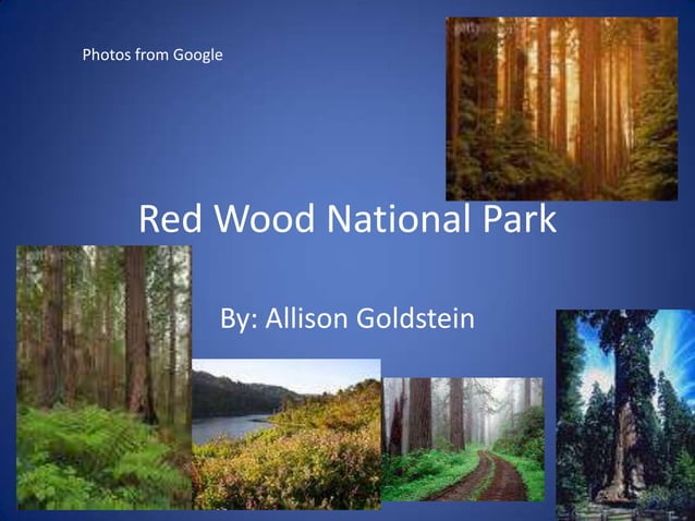 National Park Research | PPTX | Outdoor Attractions | Attractions