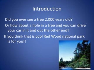 National Park Research | PPTX