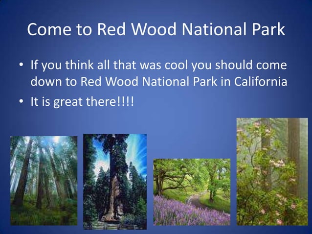 National Park Research | PPTX | Outdoor Attractions | Attractions