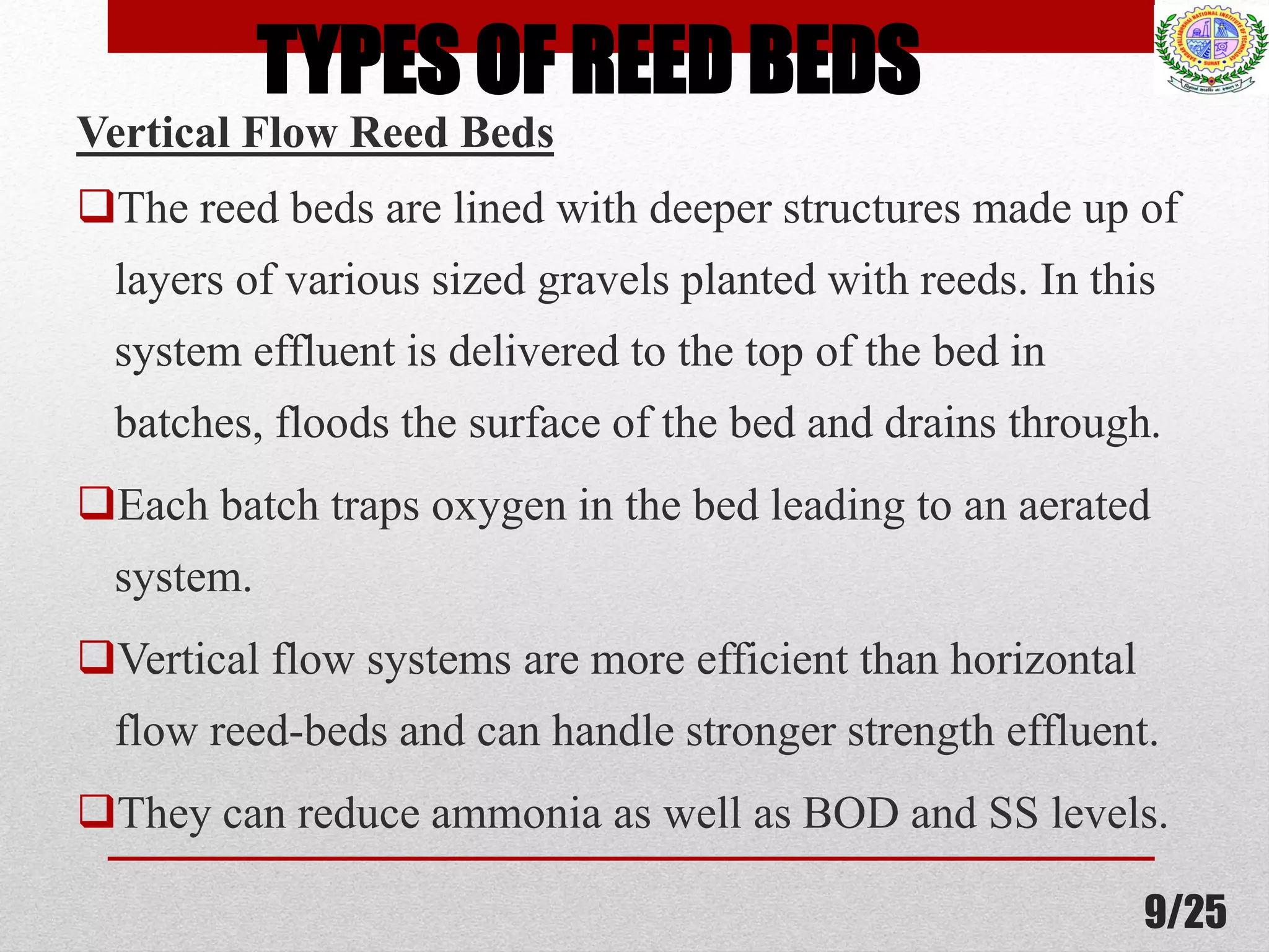 Reed bed technology | PDF