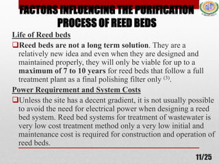 Reed bed technology | PDF