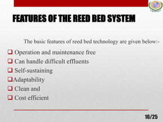 Reed bed technology | PDF
