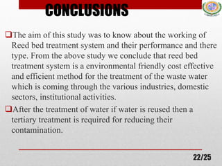 Reed bed technology | PDF