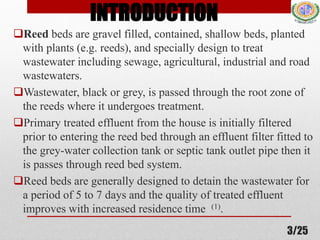 Reed bed technology | PDF