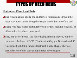 Reed bed technology | PDF
