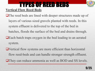 Reed bed technology | PDF