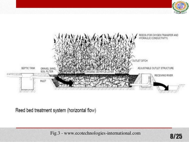 Reed bed technology