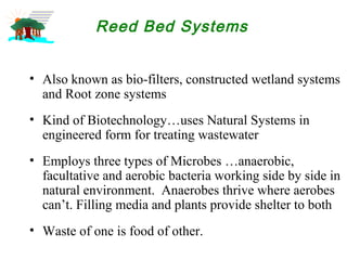 Reed bed water solutions lvk ppt | PPT