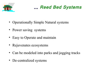 Reed bed water solutions lvk ppt | PPT