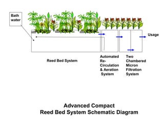 Reed bed water solutions lvk ppt | PPT