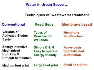 Reed bed water solutions lvk ppt | PPT