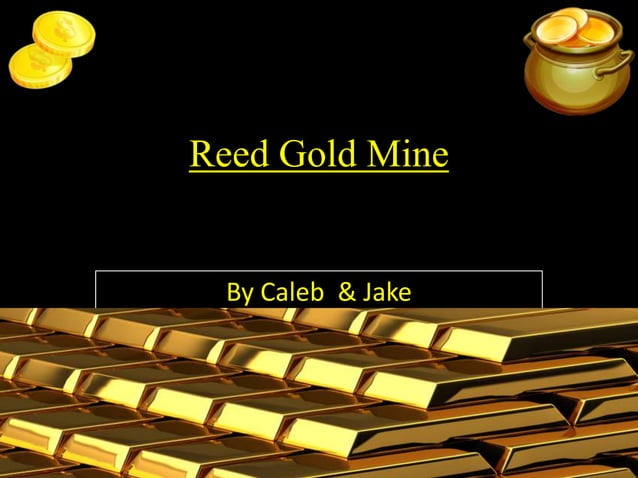 Reed gold mine | PPT