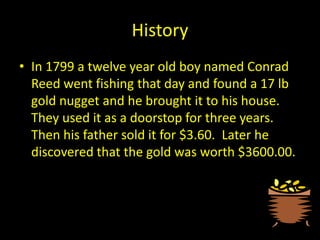 Reed gold mine | PPT