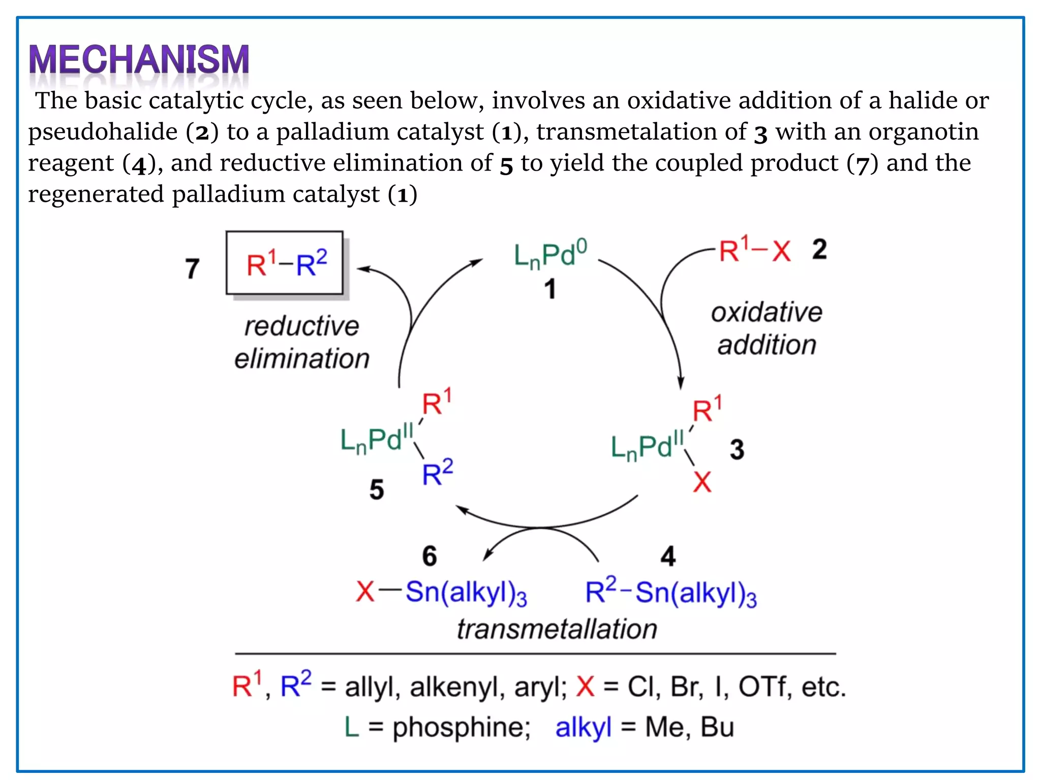 Transition Metal and Organo-Catalysis | PPTX