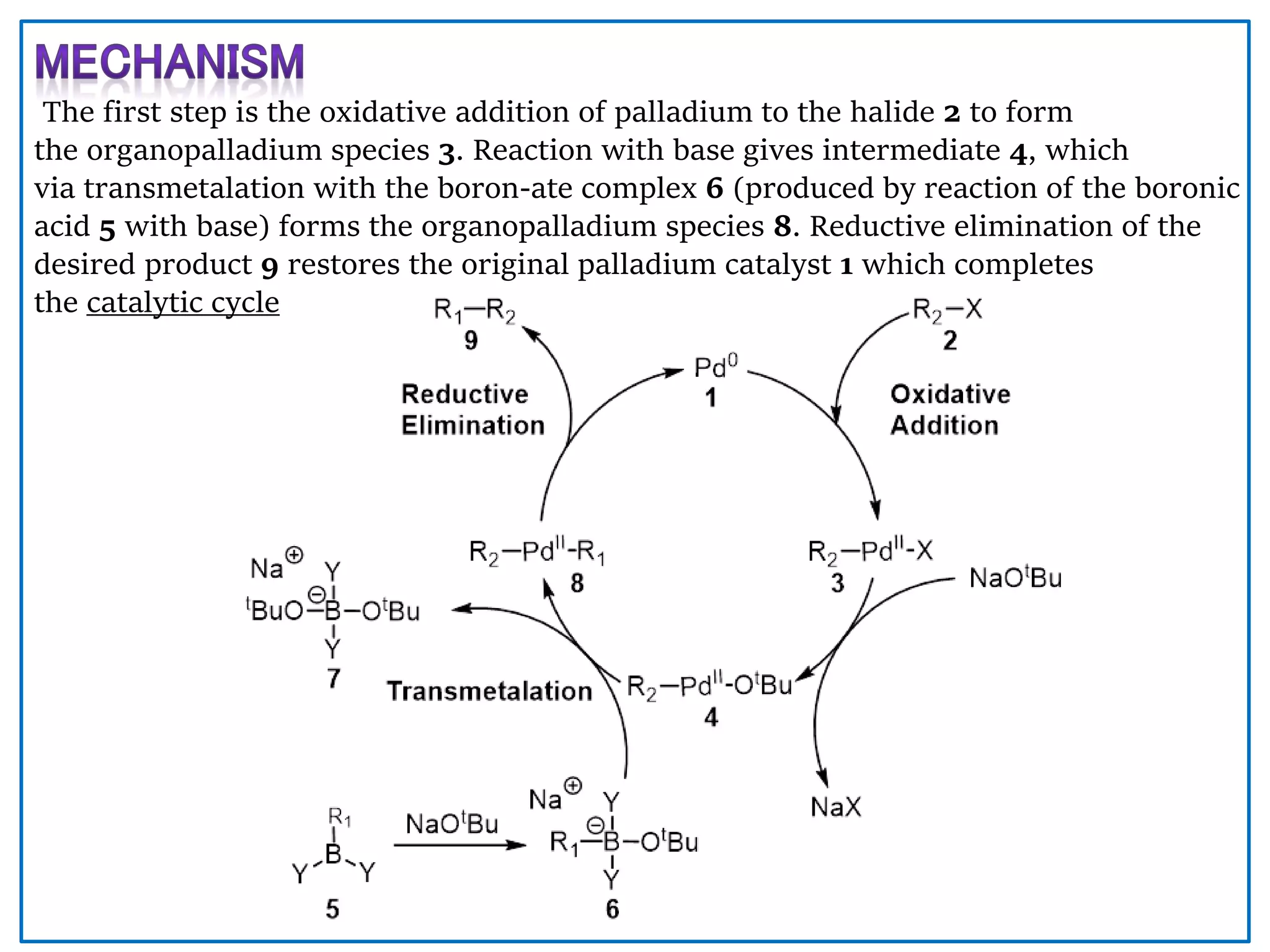 Transition Metal and Organo-Catalysis | PPTX