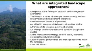 What are integrated landscape approaches and how effectively have they ...