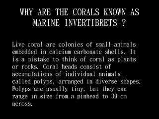 coral reef | PPT