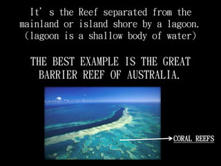 coral reef | PPT