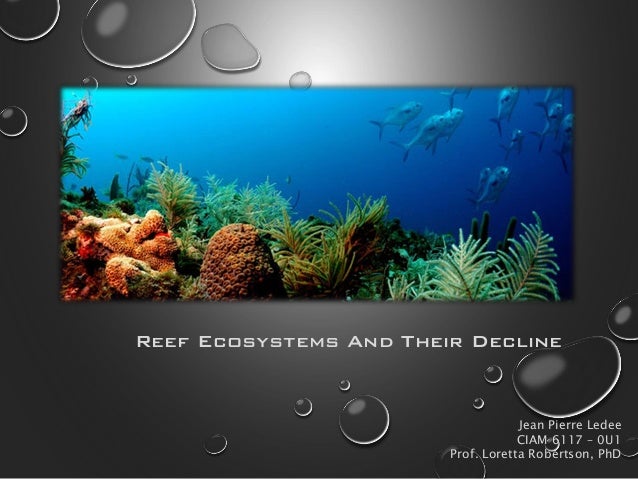 Reef ecosystems and their decline